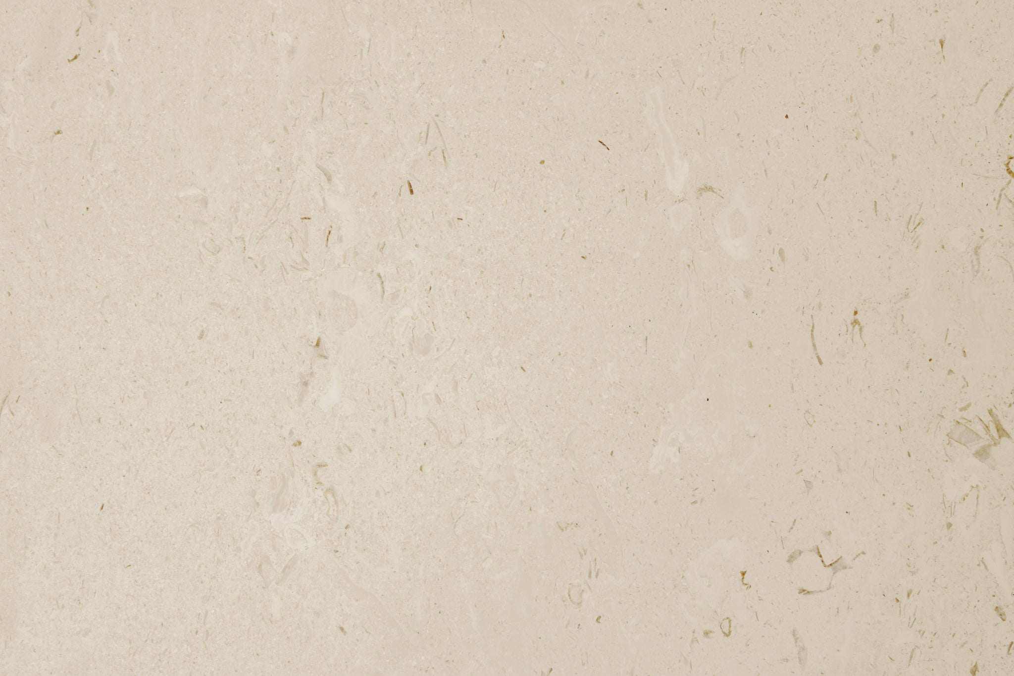 Ivory Fossil Limestone Honed - Porcelain Backed - Casa Della Casa